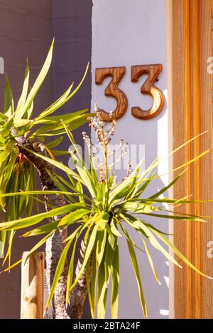 33, thirty three, numeral of wood combined with yellow insert, isolated ...