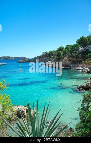 Calvia Cala Fornells turquoise mediterranean in Majorca Stock Photo - Alamy