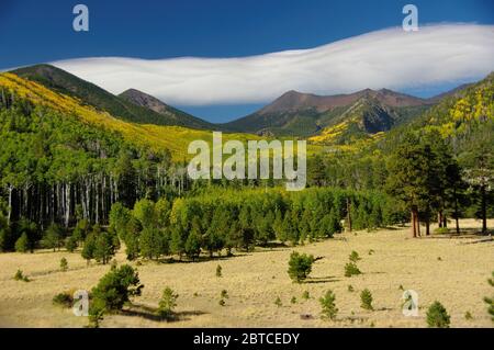 Lockett Meadow and San Francisco Peaks in Flagstaff, Arizona Stock ...