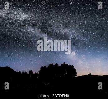 Milky Way just above silhouetted trees near Raeford North Carolina ...