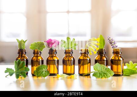 Selection of essential oils, with herbs and flowers on white background ...