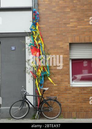 Cologne, Germany. 08th May, 2020. A maypole (birch) decorated with ...