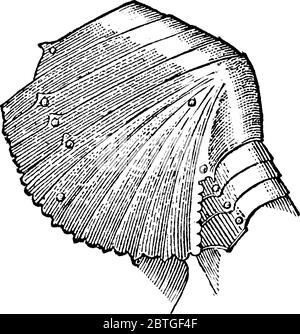 Epaulet especially when small and fitting closely to the person ...