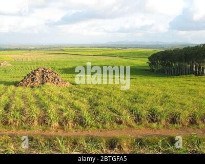 Stone pyramids in sugar cane plantation, Mauritius Island, Mauritius ...