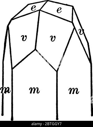 Calcite is a carbonate mineral and the most stable polymorph of calcium ...