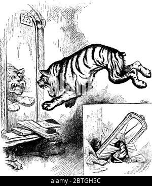 Tiger Attacking Vector Illustration Stock Vector Image & Art - Alamy