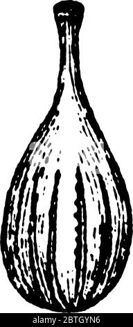 Foraminifera are members of a phylum or class of amoeboid protists ...