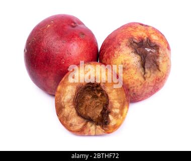 Group of rotten nectarines isolated on white background Stock Photo - Alamy
