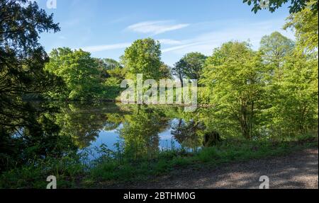 The Lake on the Ingleborough Estate Nature Trail near Clapham ...