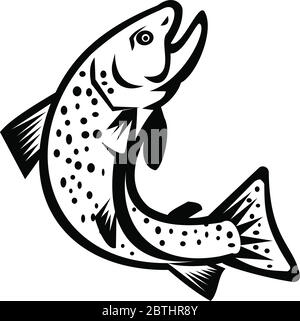 Brook Trout Vector Illustration Stock Vector Image & Art - Alamy