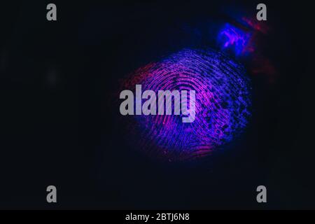Beautiful abstract purple colored fingerprint on background texture for ...