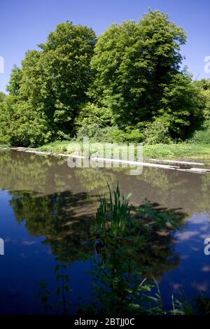 Water Cress beds at Letcombe valley,Oxfordshire,England Stock Photo - Alamy
