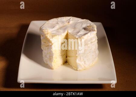 French soft Camembert cheese, original Camembert de Normandie with ...