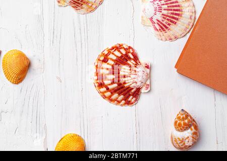 Brown open notepad surrounded by sea shells on white wooden table ...