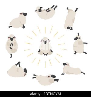 Sheep yoga poses collection. Farm animals set. Flat design. Vector ...