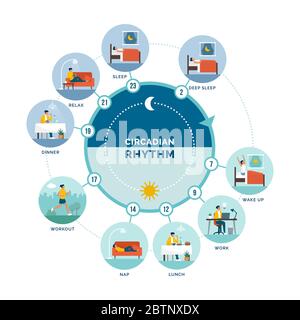Clock with daily activities routine: woman perfoming different tasks ...