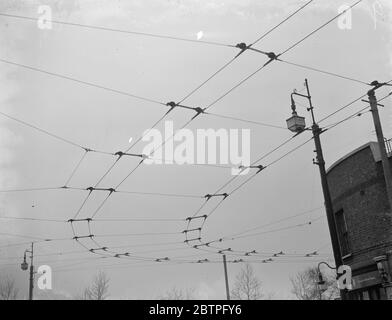 Overhead electrical trolleybus wires . 1937 Stock Photo - Alamy