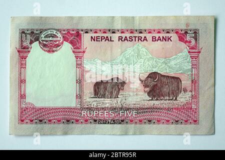five rupees, Nepalese rupee, Nepalesische Rupie, NPR, nepáli rúpia ...