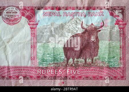 five rupees, Nepalese rupee, Nepalesische Rupie, NPR, nepáli rúpia ...