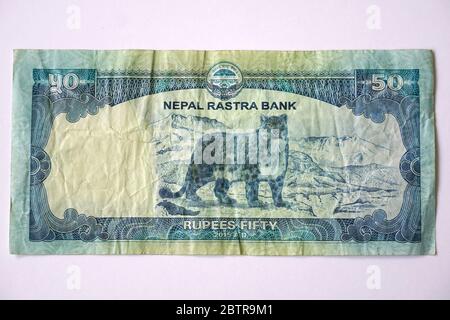 50 Nepalese rupee bank note. Nepalese rupee is the national currency of ...