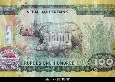 one hundred rupees, Nepalese rupee, Nepalesische Rupie, NPR, nepáli ...