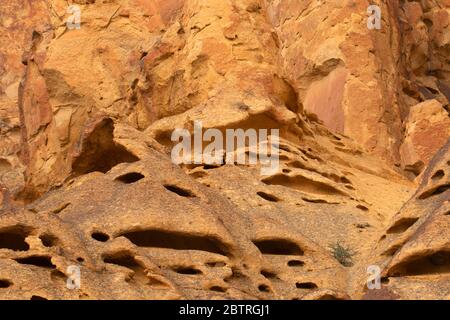 Timber Gulch cliffs, Honeycombs Wilderness Study Area, Leslie Gulch ...
