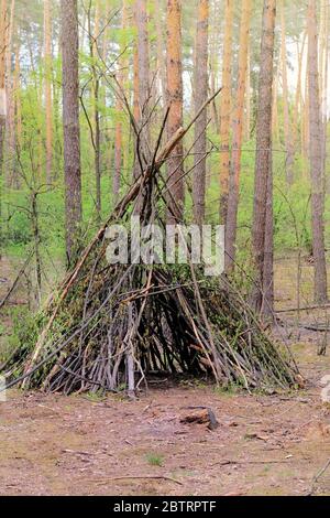 Primitive shelter from all natural materials. Forest hut in summer ...