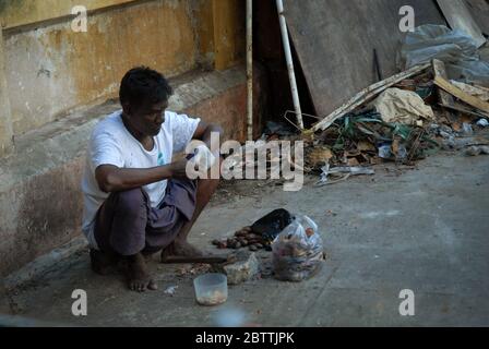Man preparing betel chew in Myanmar. Betel quid or Paan is a ...