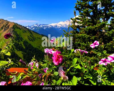 Crystal Mountain Summit in Washington state Stock Photo - Alamy