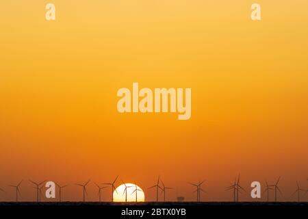 The dawn sky over the Thanet offshore wind farm off the Kent coast in ...