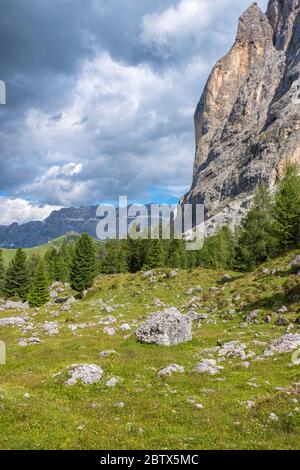steep green alp mountain meadow Stock Photo - Alamy