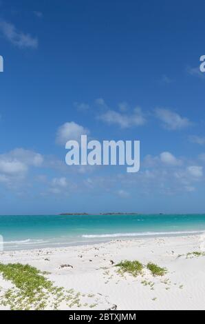Playa Pilar one of Cubas most beautiful beaches at Cayo Guillermo on ...