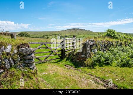 Down Tor seen from a footpath from Norsworthy Bridge. Dartmoor Natoinal ...