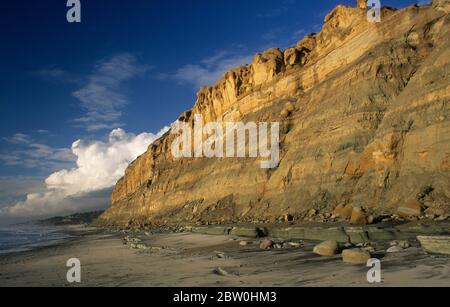 Beach cliffs, Torrey Pines State Reserve, California Stock Photo - Alamy