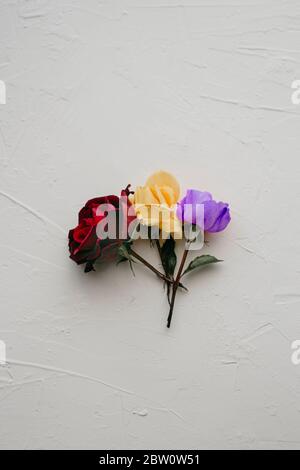 Purple and pink flowers grouped together Stock Photo - Alamy