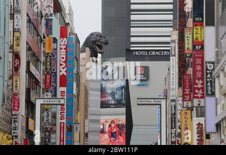Kabukicho Shinjuku Godzilla Road Tokyo Japan Neon Lights Night Stock ...