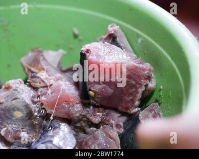 Fresh slice milkfish in plastic basket Stock Photo - Alamy
