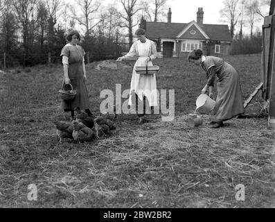 Women farmers at Hoebfridge Farm, Woking. 1914-1918 Stock Photo - Alamy