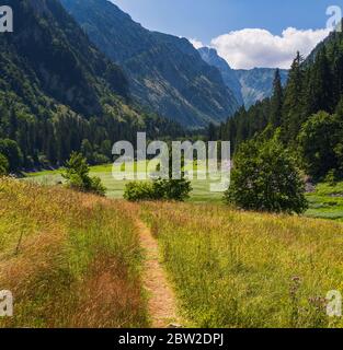Hiking scene in beautiful summer mountains at sunset Stock Photo - Alamy