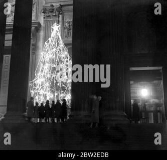 Christmas, 1935. Christmas trees in the Portico of St Paul's Cathedral ...
