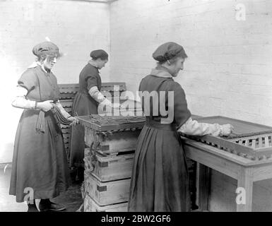 Royal Navy Cordite Factory at Holton Heath. Nitrating gun cotton, the ...
