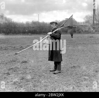 John Edward Molloy, Frog-Catcher. 15 March 1921 Stock Photo - Alamy