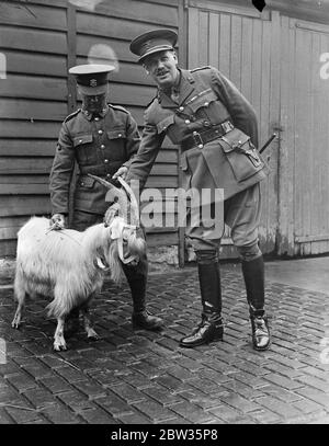Taffy VI , mascot of the Welsh Regiment , leads the regiment in the ...
