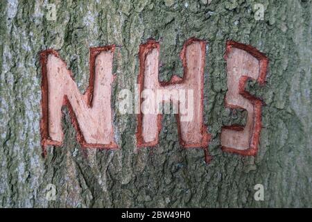 NHS carved into a tree on the summit of Brailes hill next to a trig ...