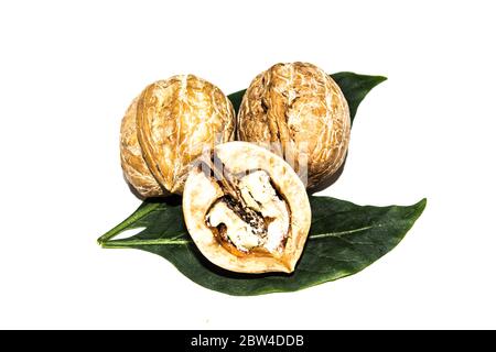 A picture of dry walnuts Stock Photo - Alamy