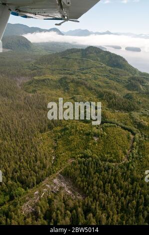 An aerial view of clearcutting Stock Photo - Alamy