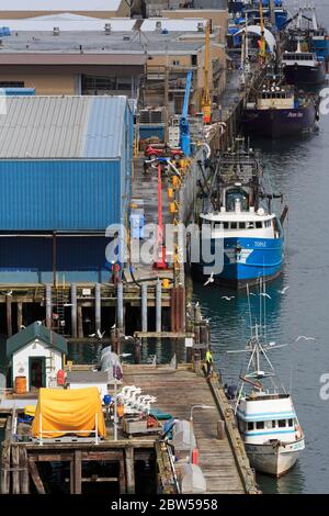 Fish Processing Plant, Kodiak, Alaska, USA Stock Photo - Alamy