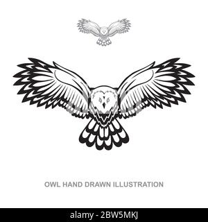 Owl. Flaying owl hand drawn vector illustration. Owl attack sketch ...