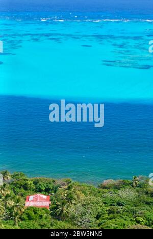 coral reef, island of Providencia (in English, Providence), Colombia ...