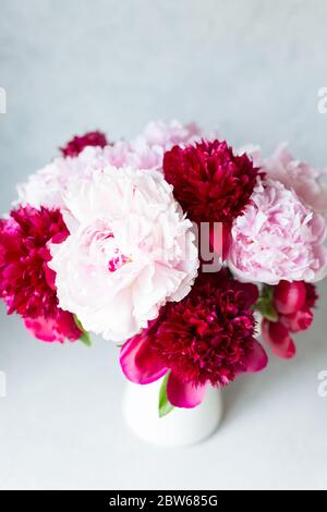 Top view of beautiful peonies on blue background with text space Stock ...